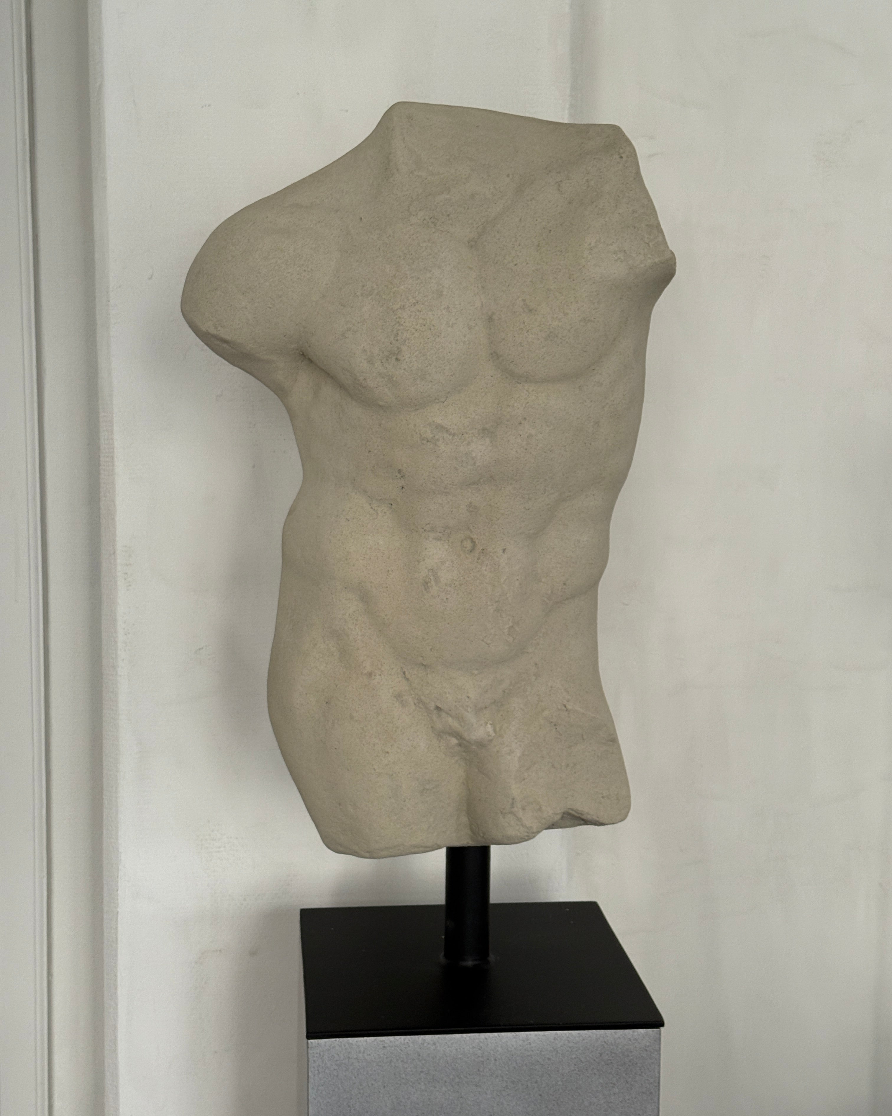 Andrea Male Torso - Skulptur – Milla LAB